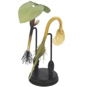 Meander – elegant home decorations