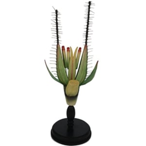 Meander – elegant home decorations